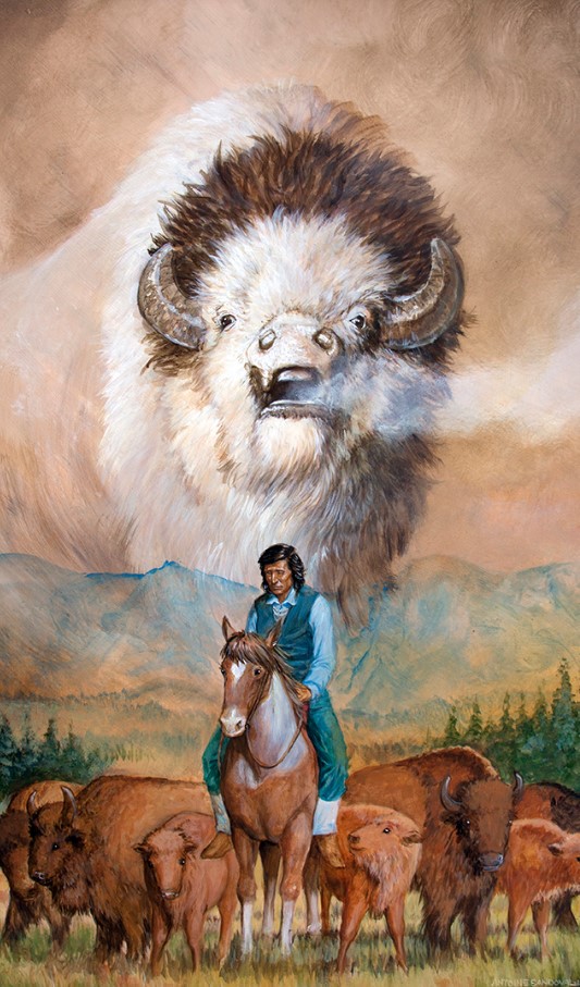 Bison Range – Ice Age Floods Institute